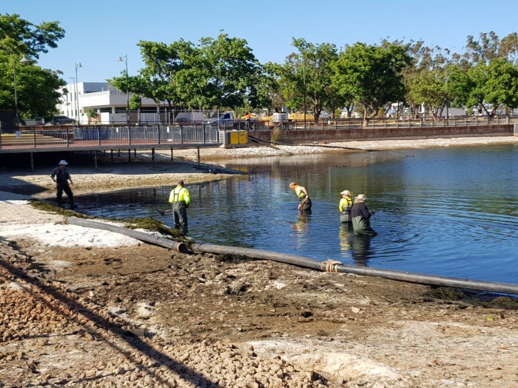 Biosecurity success story – feral fish eradication in an artificial ...