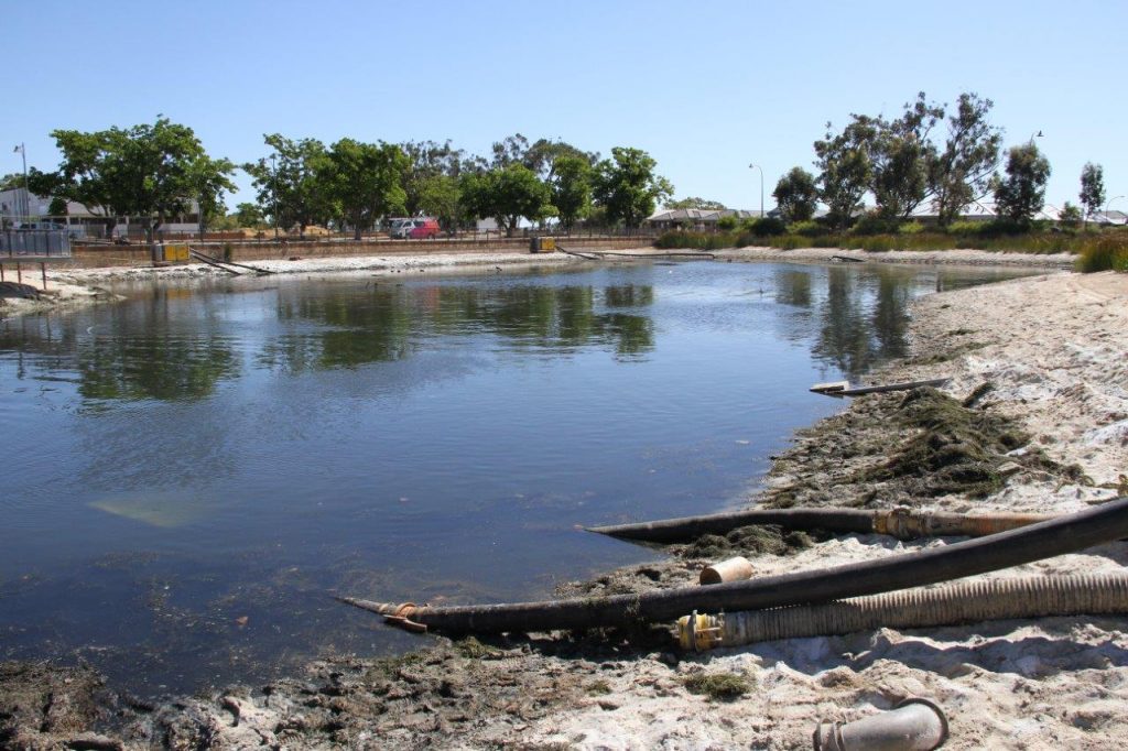 Biosecurity success story – feral fish eradication in an artificial ...